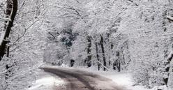 Oundle Weather Forecast for the next 14 Days | Netweather