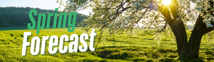 Long Range Weather Forecast | Spring 2025 | Netweather.tv