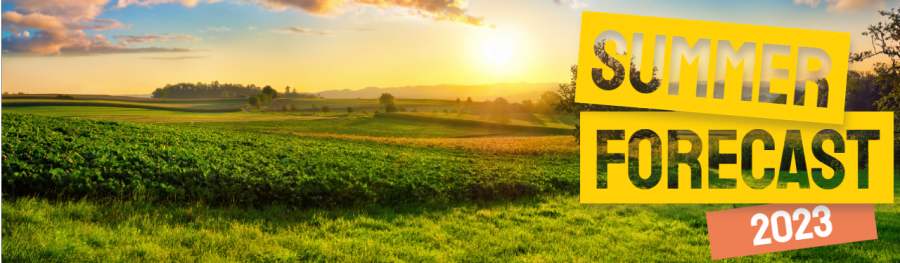 Long Range Weather Forecast - Summer 2023 | Netweather.tv