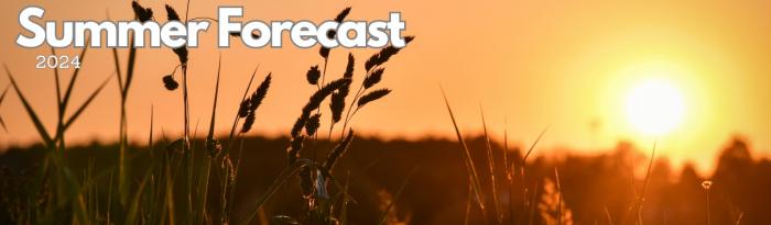 Long Range Weather Forecast | Summer 2024 | Netweather.tv