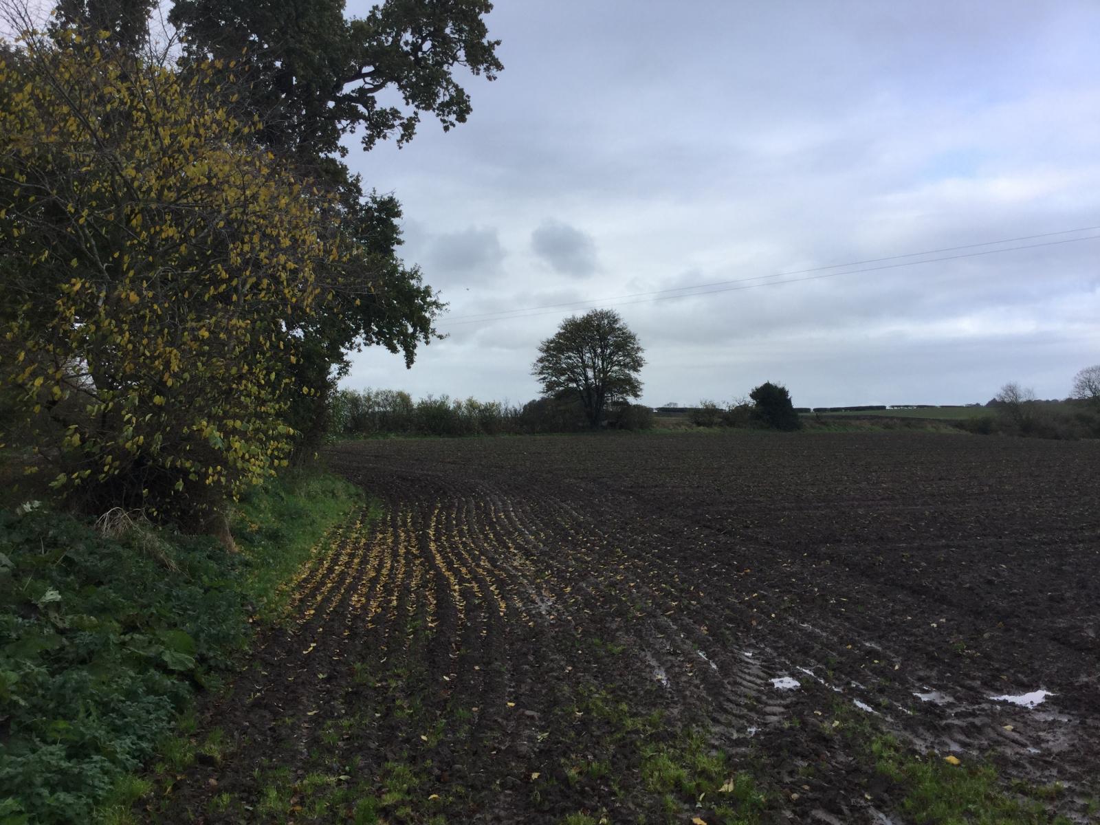 Week Ahead: starting off fine & mostly dry, but turning unsettled ...