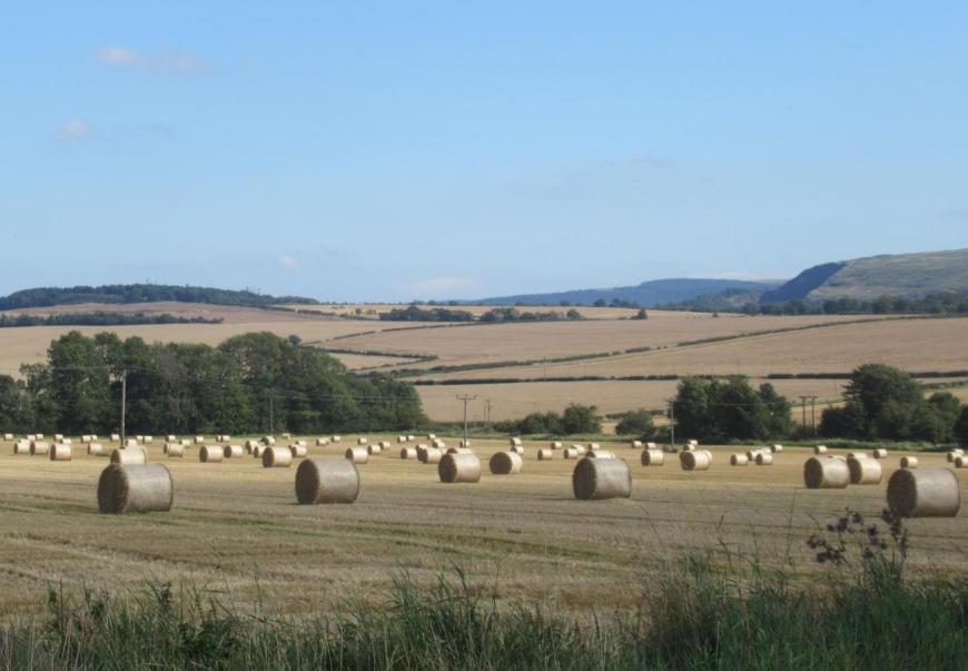 Ilford Weather Forecast for the next 14 Days | Netweather
