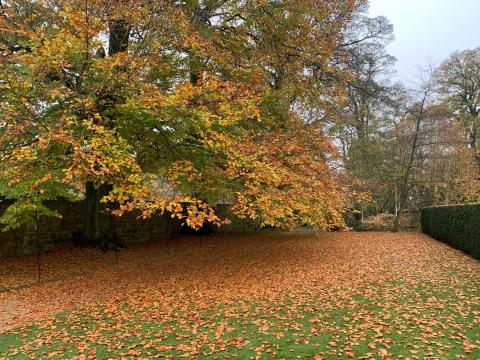 Brighton Weather Forecast for the next 14 Days | Netweather