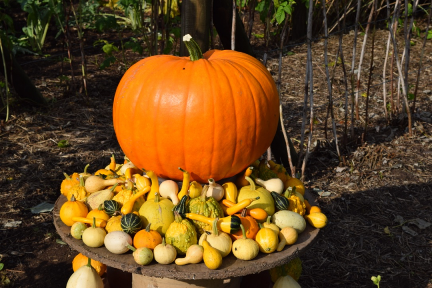 Worthing Weather Forecast for the next 14 Days | Netweather