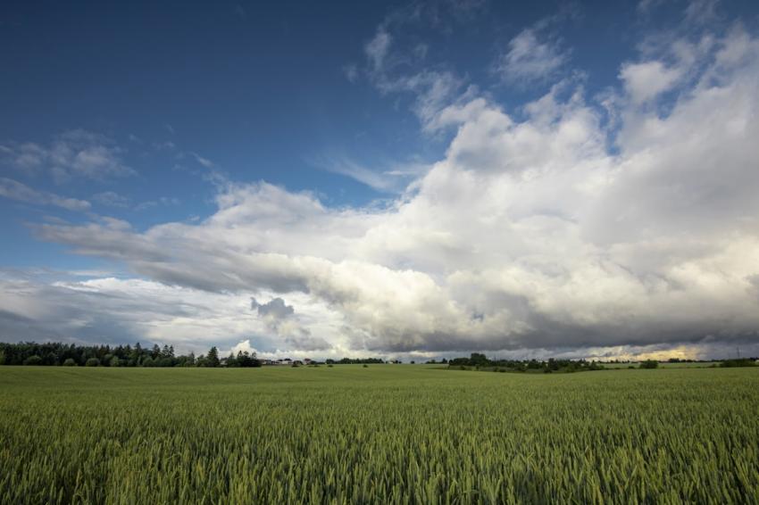 10 Day Weather Outlook for Denton