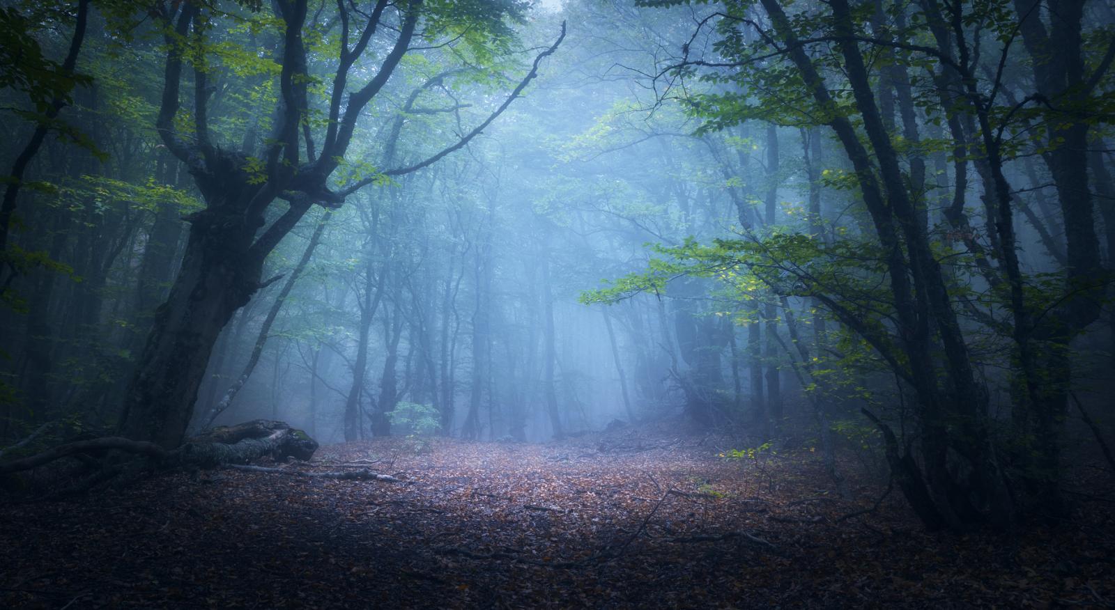 Week Ahead: high pressure taking over, so could be a risk of spooky fog ...