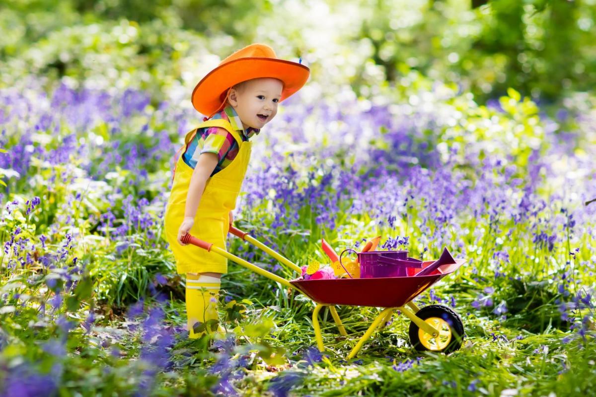 April Gardening: Your guide to the busiest month of the year