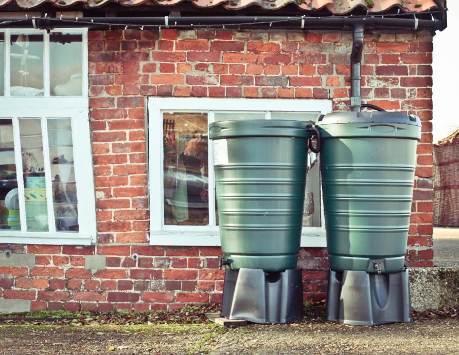 How to Be a Thrifty Gardener: 10 Tips for Gardening During Lockdown