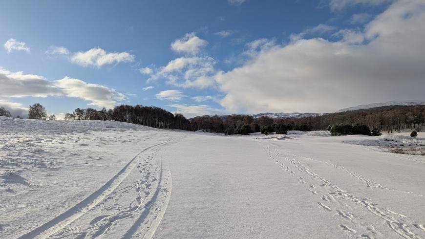 Goole Weather Forecast: Tomorrow & the next 14 Days | Netweather