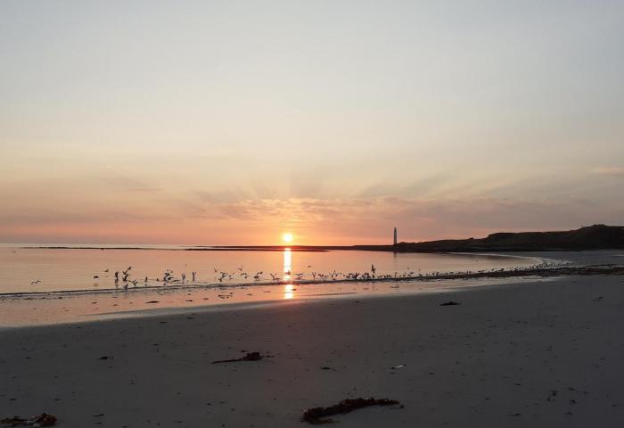 14 Day Weather Forecast for Crawley - Netweather.tv