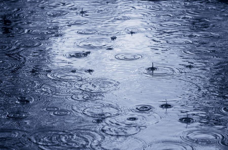 State of Emergency for Wellington this week in torrential New Zealand rain