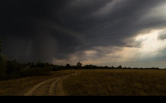 Crawley Weather Forecast for the next 14 Days | Netweather