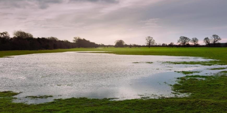 Harrogate Weather Forecast for the next 14 Days | Netweather