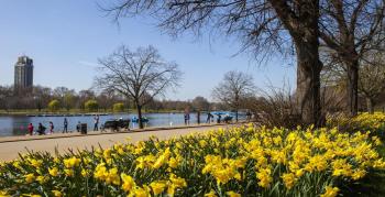 Fool's Spring and a Final Stratospheric Warming on the way