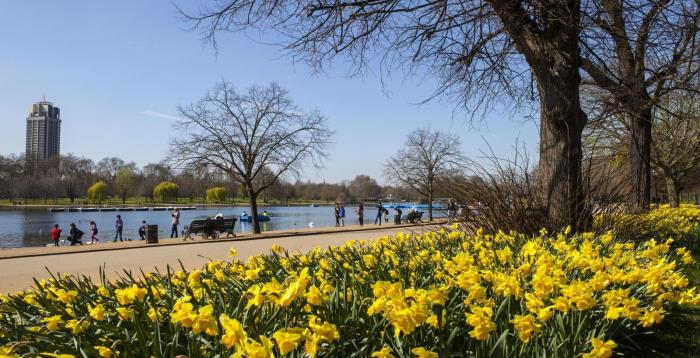 Fool's Spring and a Final Stratospheric Warming on the way