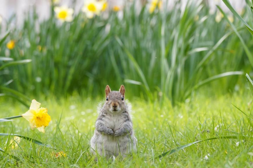 Barnsley Weather Forecast for the next 14 Days | Netweather