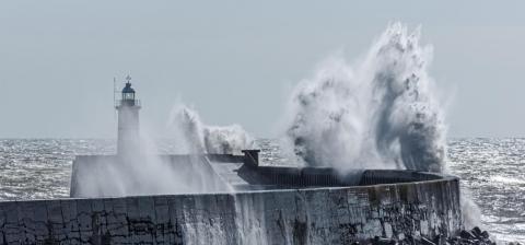 Fleet Weather Forecast for the next 14 Days | Netweather