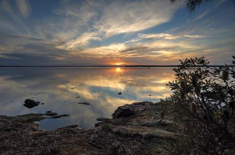 Hayes Weather Forecast for the next 14 Days | Netweather