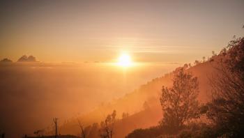 Sunniest Spring on record: How sunshine shaped our experience and what ...