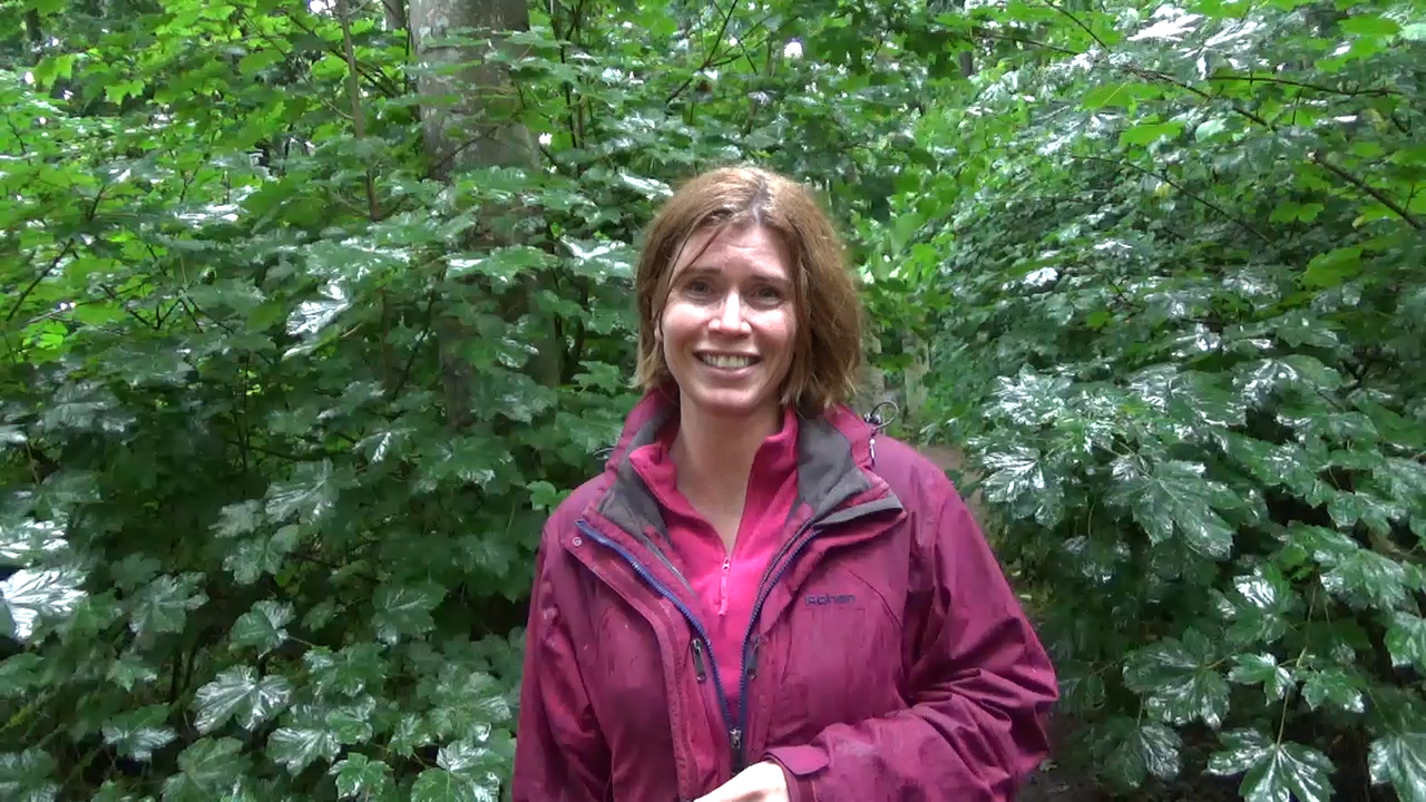 Jo Farrow: Rain Clearing Today