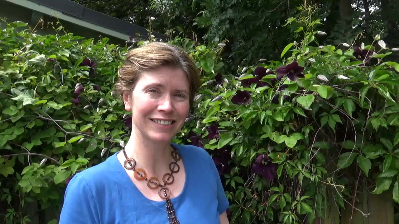 Quiet weather to start July - Video with Jo Farrow