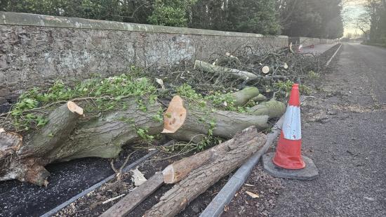 kt2 Weather Forecast for the next 7 Days | Netweather