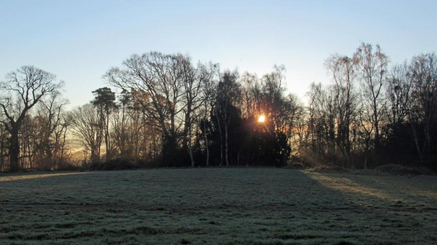 Immingham Weather Forecast for the next 14 Days | Netweather
