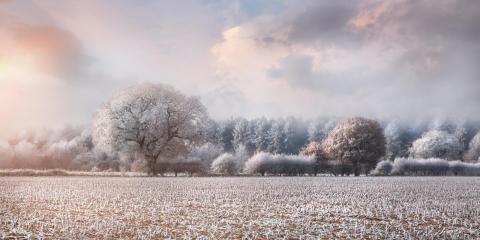 Ripon Weather Forecast for the next 14 Days | Netweather